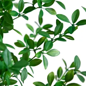 NEARLY NATURAL 4' Artificial Shady Lady Black Olive Tree