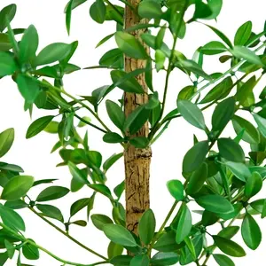 NEARLY NATURAL 4' Artificial Shady Lady Black Olive Tree