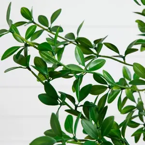 NEARLY NATURAL 5' Artificial Shady Lady Black Olive Tree