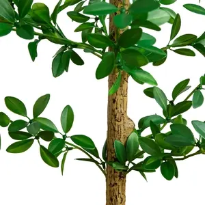 NEARLY NATURAL 5' Artificial Shady Lady Black Olive Tree