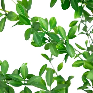NEARLY NATURAL 6' Artificial Shady Lady Black Olive Tree