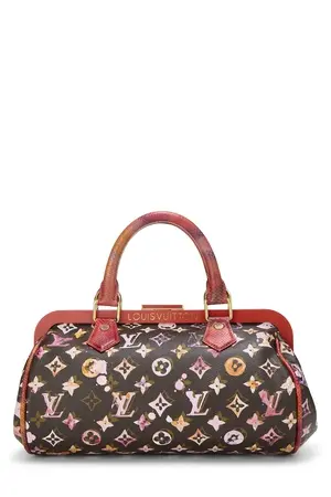 LOUIS VUITTON Richard Prince Monogram Watercolor Papillon Frame Bag
