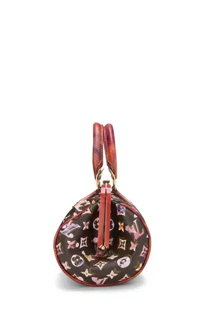 LOUIS VUITTON Richard Prince Monogram Watercolor Papillon Frame Bag