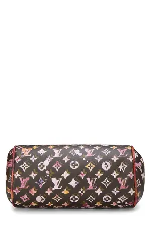 LOUIS VUITTON Richard Prince Monogram Watercolor Papillon Frame Bag