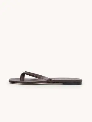 Aeyde Thong Sandals For Women