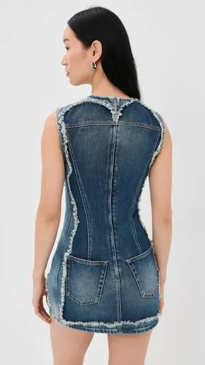 Acne Studios Denim Mini Dress