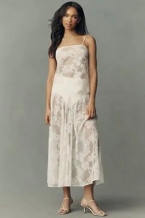 Bardot Hildie Sheer Lace Tank Top