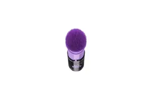 Anna Sui Pocket Brush