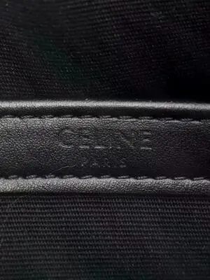 Celine 2022 Medium Triomphe Camera Bag