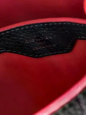 LOUIS VUITTON Capucines Bb Satchel
