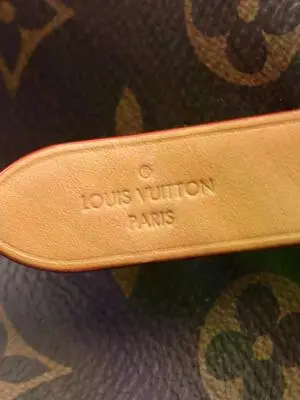 LOUIS VUITTON 2010-2026 Monogram Neonoe Shearling Bb Satchel