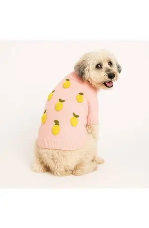 FOUND MY ANIMAL Lemon 3d Icon Dog Sweater