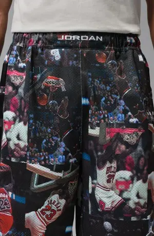 JORDAN Flight Oversize Cat Scratch Mesh Shorts