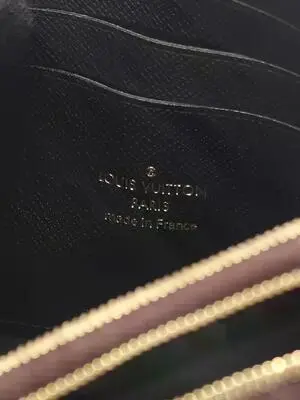 LOUIS VUITTON 2020 Monogram-pattern Double-zip Pochette