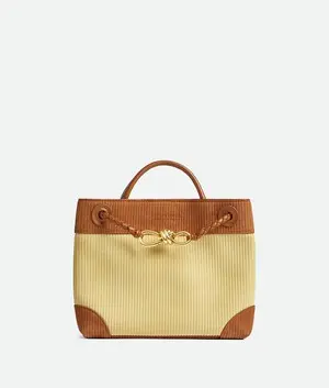 BOTTEGA  VENETA  Small Andiamo
