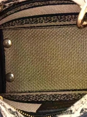 Dior Lady D-lite Embroidered Canvas Mini Satchel