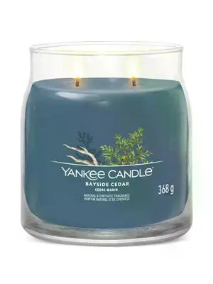 YANKEE CANDLE Medium Bayside Cedar Candle