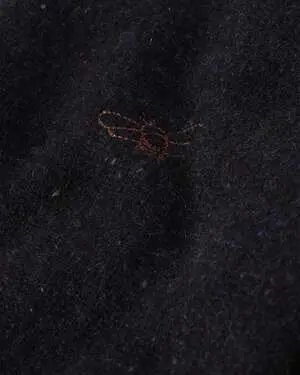Johnstons Of Elgin Cairn Donegal Cashmere Jumper - Blue