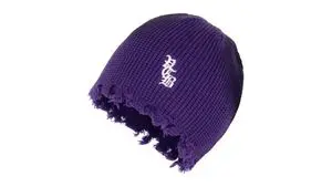VERTABRAE Logo Beanie - Purp