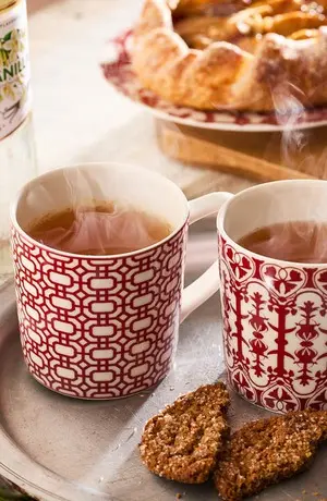 CASKATA Newport Crimson Garden Gate Mugporcelainset 4