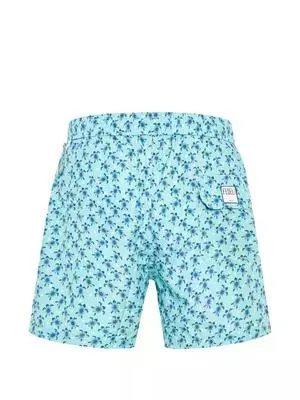 Fedeli Turtle-print Swim Shorts