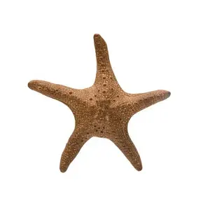 STORIED HOME Decorative Stoneware Starfish - Brown