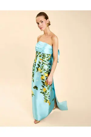 Mestiza New York Solstice Convertible Gown
