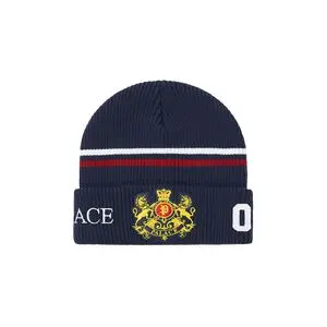 PALACE Established Beanie Blue