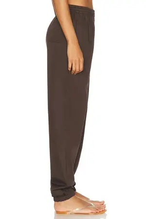Miu Miu Track Pant In Brown