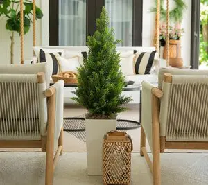 NEARLY NATURAL 3-ft Uv Resistant Cedar Tree In White Planter - One-color