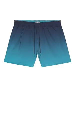VINTAGE SUMMER Performance Stretch Lined Volleys - Dark Teal
