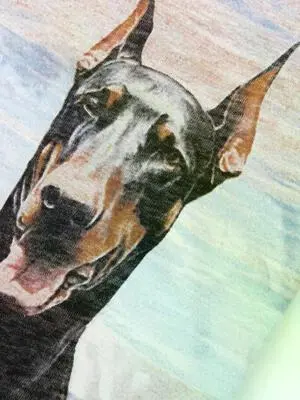 REPRESENT Dobermans-print T-shirt - Neutrals