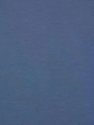 Canali Cotton Shirt - Blue