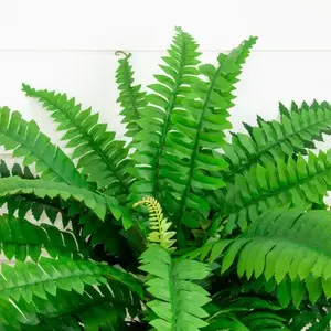 NEARLY NATURAL 32-in Artificial Boston Fern Set Of 2