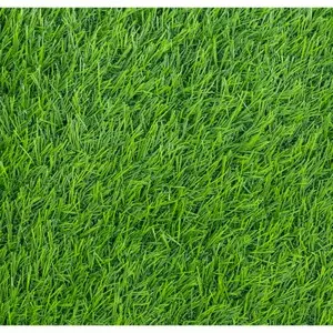 NEARLY NATURAL 15-in Uv Resistant Artificial Grass Pillow Cushion