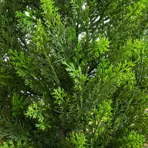 NEARLY NATURAL 3-ft Uv Resistant Artificial Cedar Tree In White Tower Planter