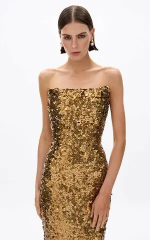 Rachel Gilbert Karter Sequined Gown