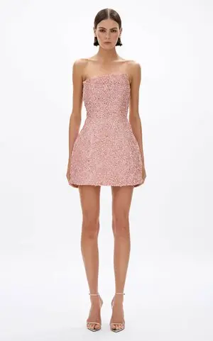 Rachel Gilbert Karter Beaded Tulle Mini Dress