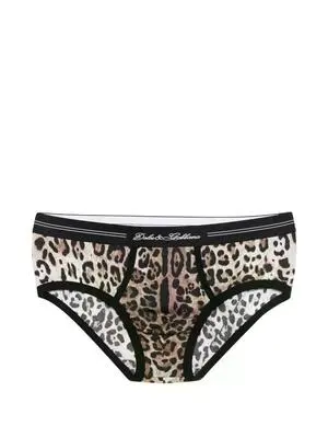 Dolce & Gabbana Leopard-print Briefs - Neutrals