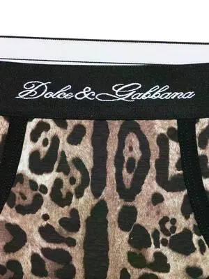 Dolce & Gabbana Leopard-print Briefs