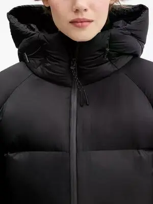 Adidas Hooded Jacket