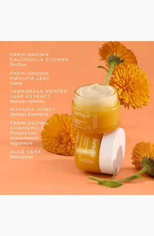 JURLIQUE Calendula Cream Moisturizer