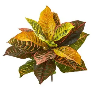 NEARLY NATURAL 21-in Garden Croton Artificial Plant - Mixed