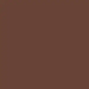 Gerard Darel Le Lauren Slim Leather Belt - Coffee