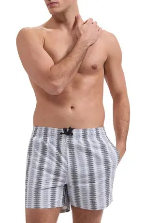 Bugatchi Cruz Diamond Stripe Print Swim Trunks - Platinum