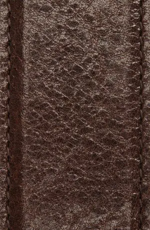 Saint Laurent Bouclè 66 Leather Belt - Burnt Chocolate