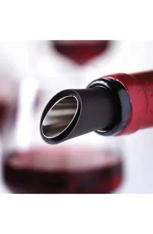 ZONE DENMARK Rocks Wine Finer Pouring Spout