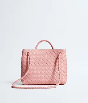 Bottega Veneta Small Andiamo - Blush