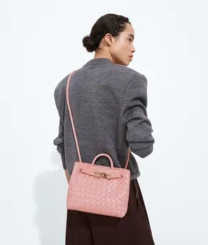Bottega Veneta Small Andiamo - Blush