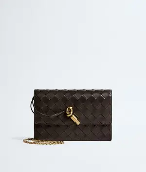 Bottega Veneta Andiamo Pouch On Chain - Fondant